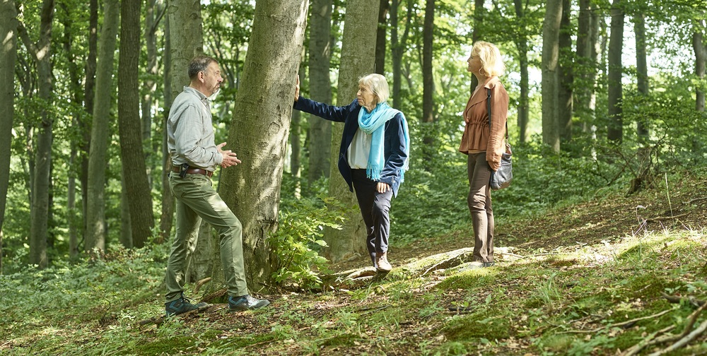 St. Pölten: Neuer Bestattungswald bei Schloss Ochsenburg
